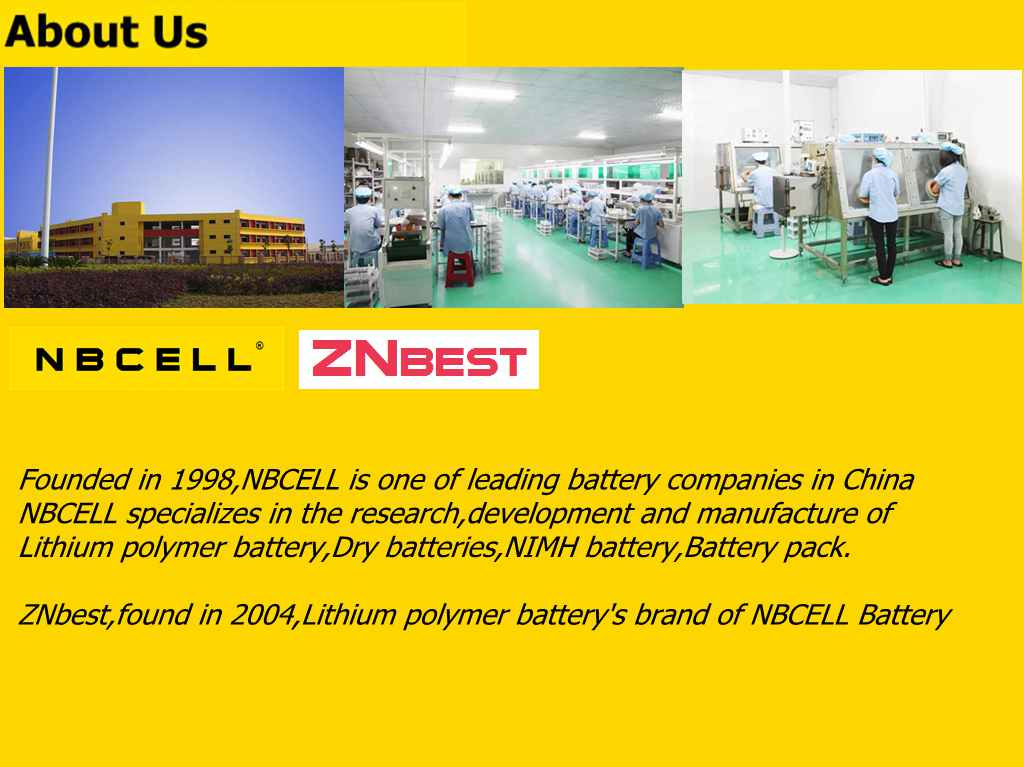 3.7V 1000mAh Zn523450 Li-Polymer Battery From Nbcell - Li-Polymer Battery, 3.7V Li-Polymer ...